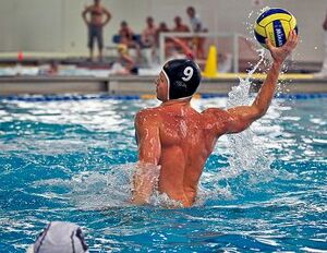 Trailblazing gay water polo player and coach still making waves - Outsports